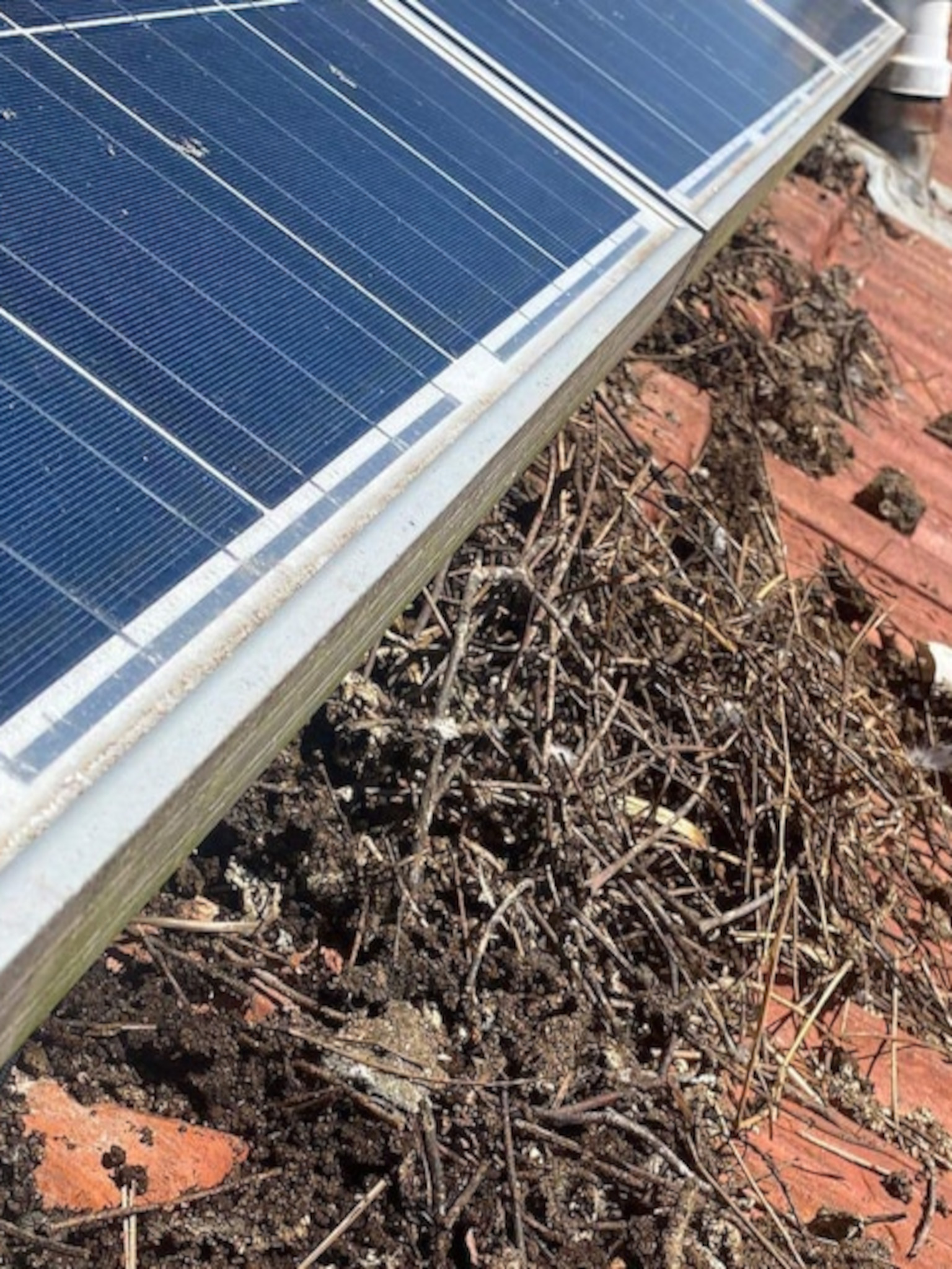 Tropical Shine Solar Cleaning – Solar Panel Cleaning Darwin Palmerston